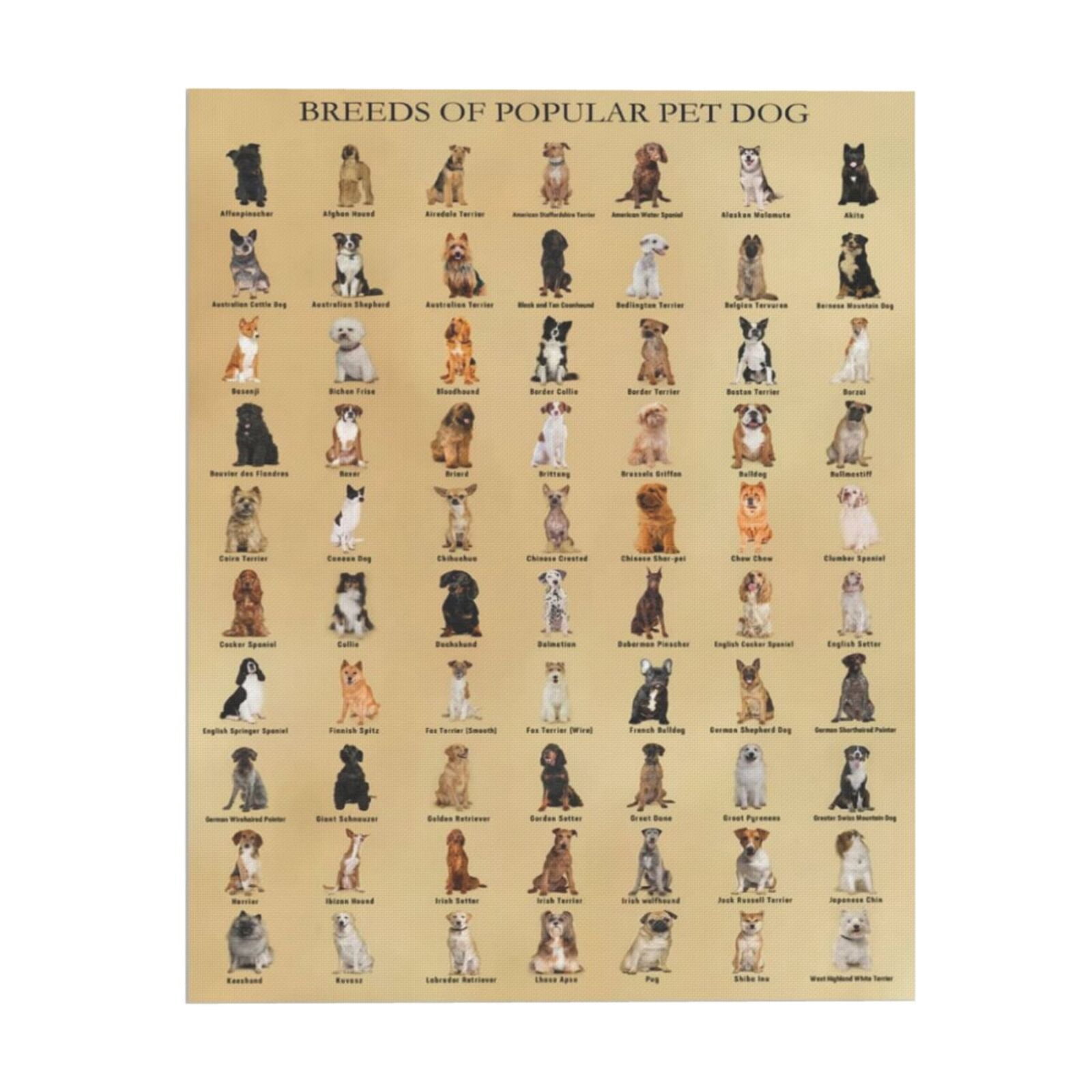 AOEX Breeds of Popular Pet Dog Poster Dog Lovers Animals Poster ...