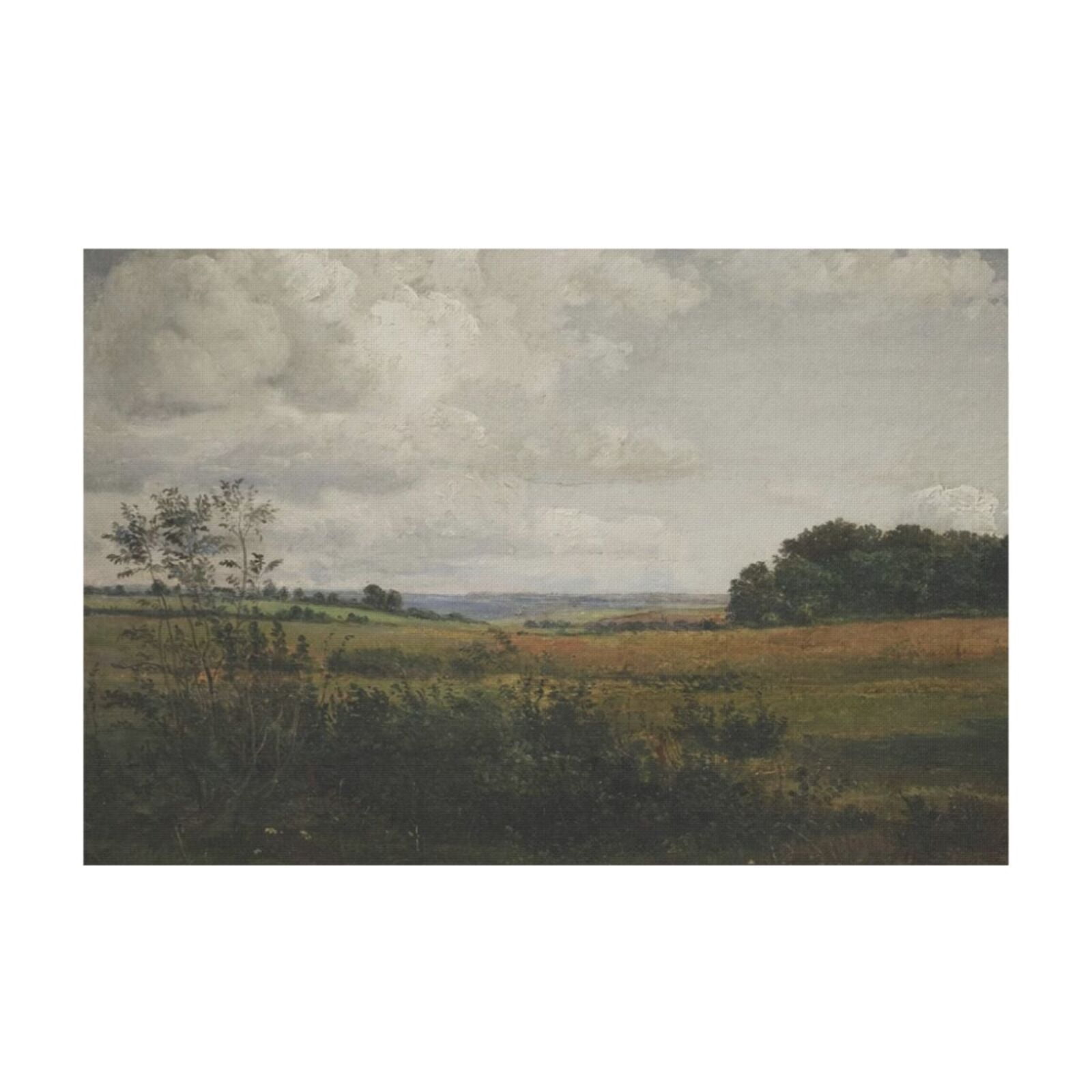 AOEX Canvas Print Wall Art Rustic Rural Storm Cloud Country Landscape ...
