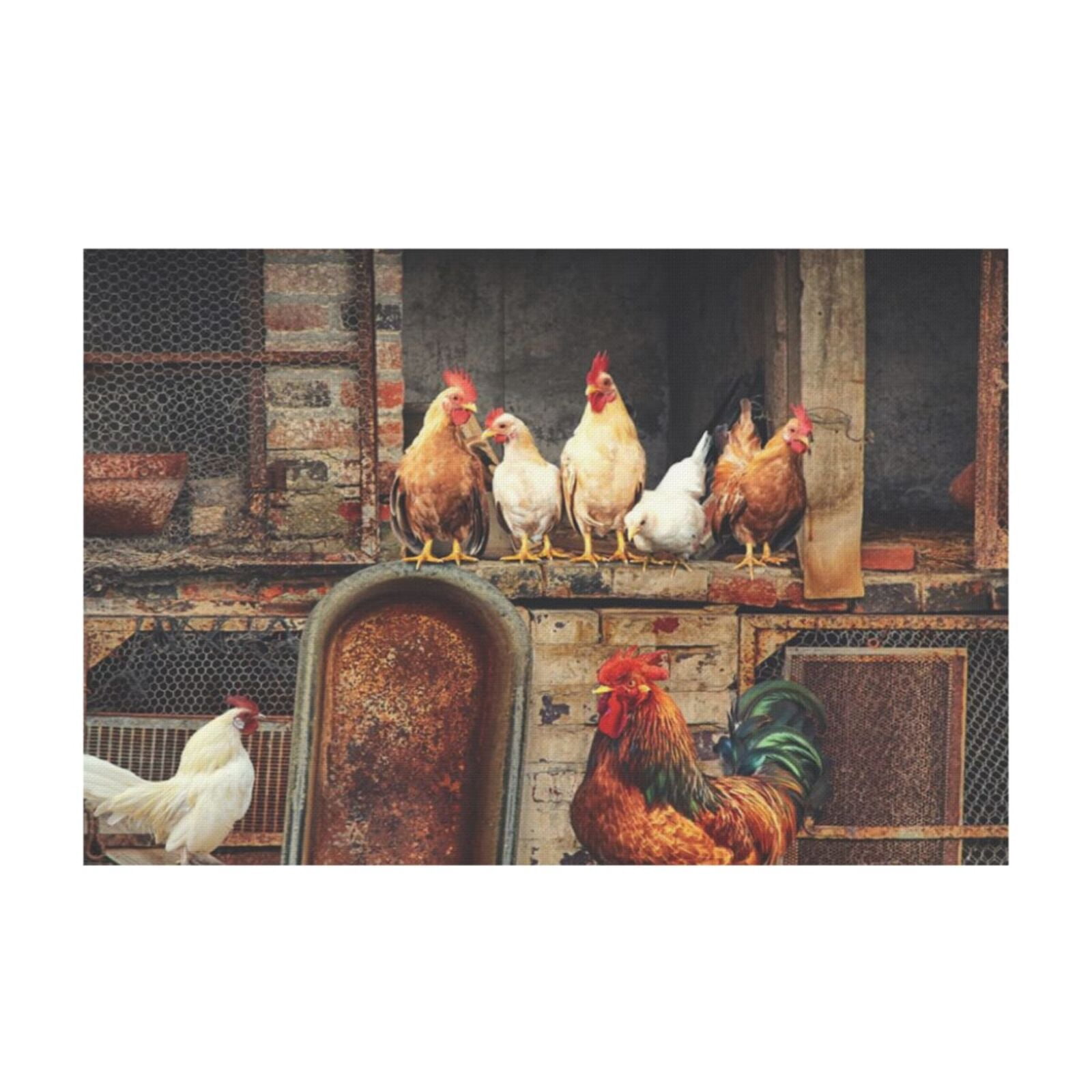 AOEX Farm Chicken Coop Wall Art Farmhouse Rooster Picture on Canvas for ...