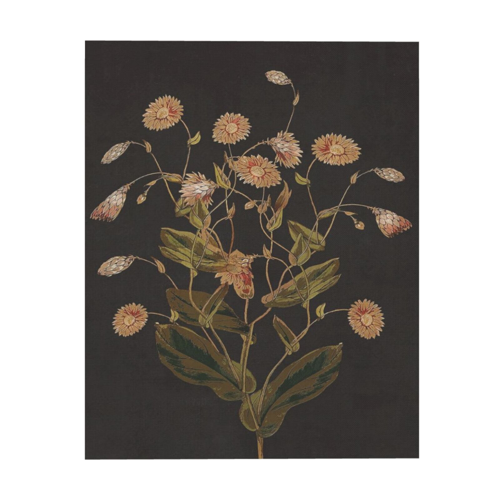 AOEX Moody Decor Vintage Flower Wall Art - Peony Botanical Wall Art ...