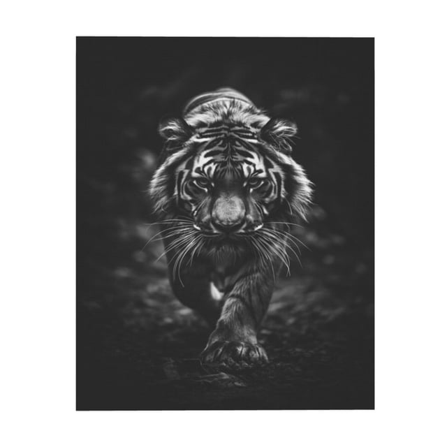 AOEX Tiger Pictures Wall Decor Modern Wild Animals Wall Art and White ...