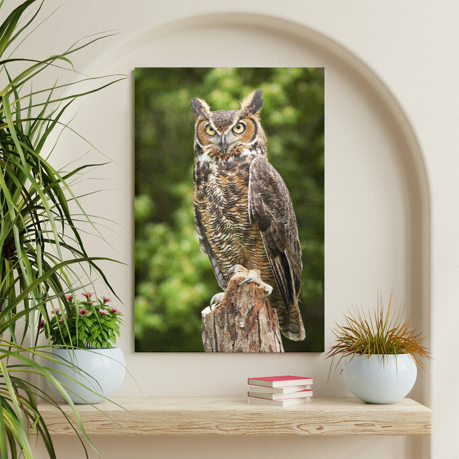 AOEX Wild Animals Owl Poster Funny Wall Art Decor Poster Canvas ...