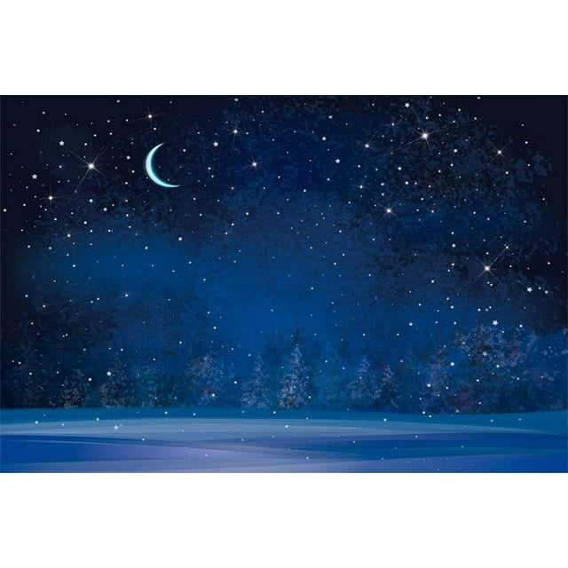 AOFOTO 10x6.5ft Dreamy Moon Night Fantasy Snowflake Backdrop Snowing ... AOFOTO 10x6.5ft Dreamy Moon Night Fantasy Snowflake Backdrop Snowing ...