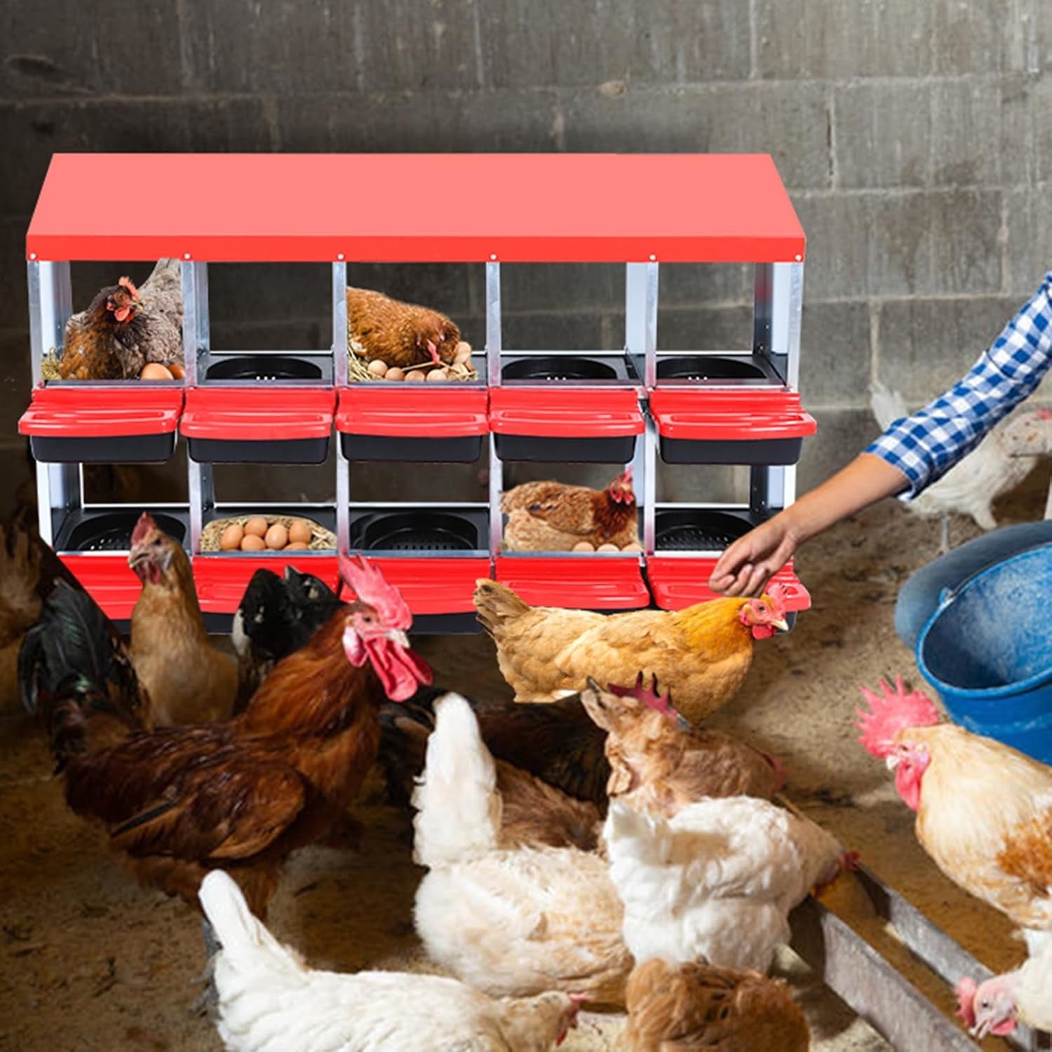 AOILE Chicken Nesting Boxes, Roll-Out Egg Collection Laying Box with ...