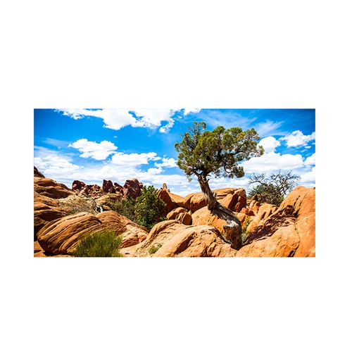 AOJA Fluorescent Light Cover with 10 Magnets Exquisite Pattern Easy ...