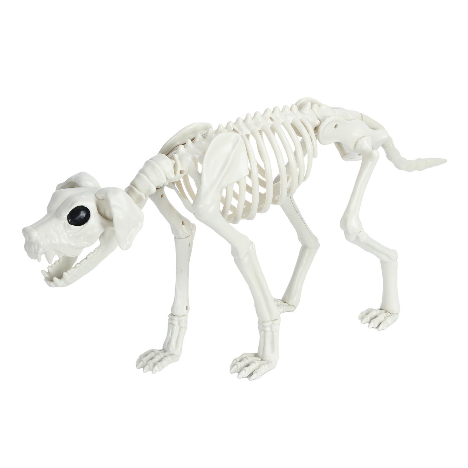 AOJA Halloween Skeleton Dog Decorations with Posable Joints Bones ...
