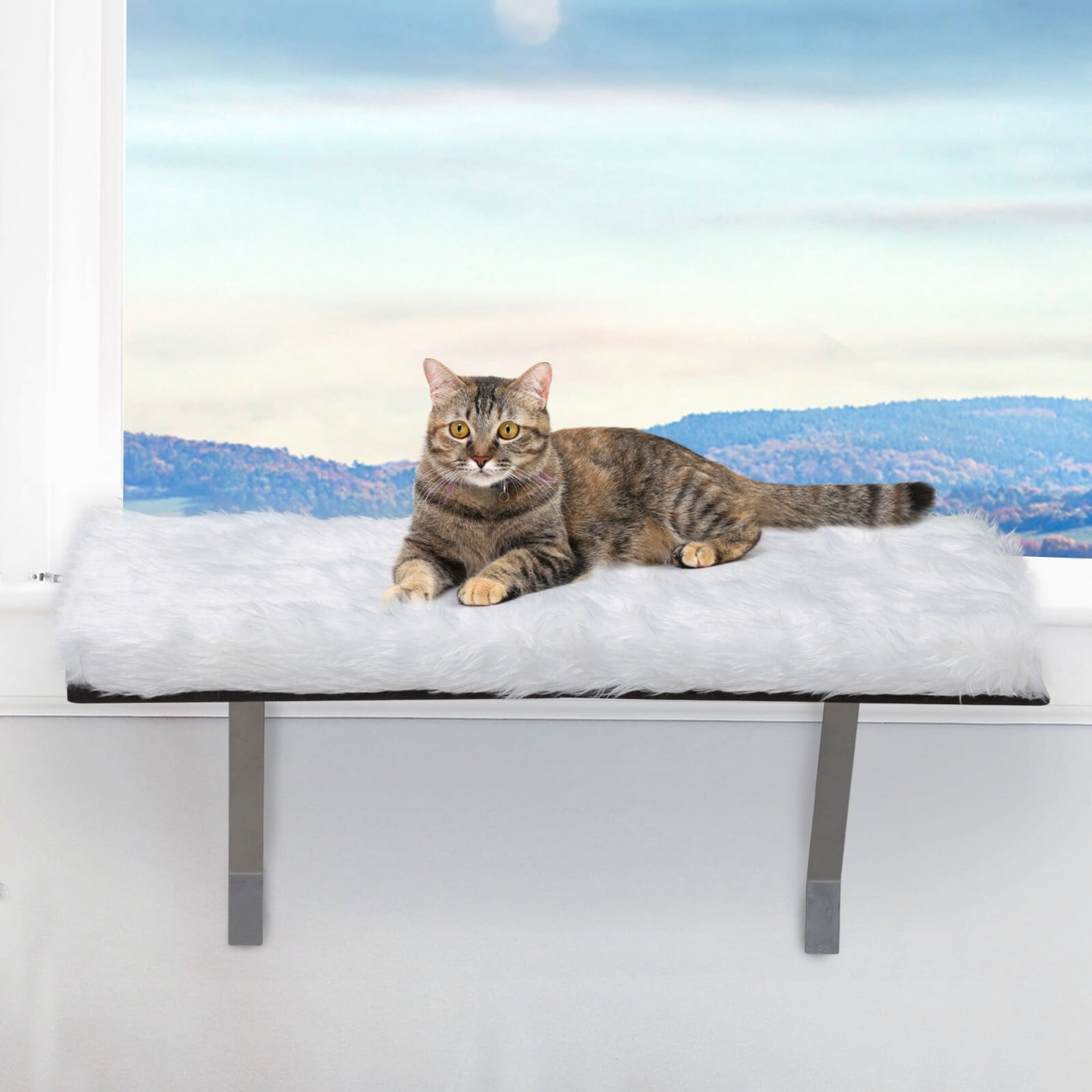 AOJDVE White Window Mounted Cat Perch - Cozy Cat Window Bed Shelf Seat ...