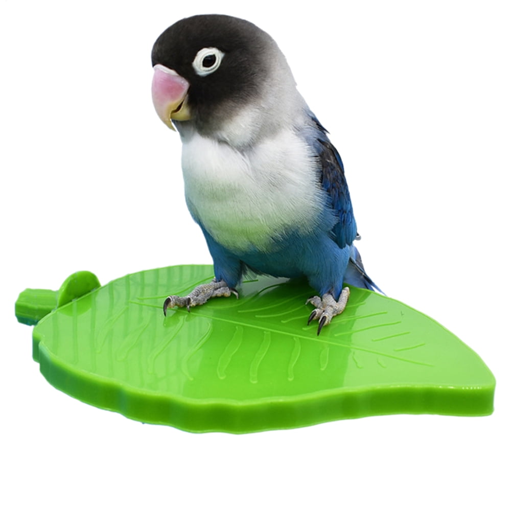 AOKAILA Bird Perches Cage Toys Leaves Shape Bird Cage Exercise Stand ...