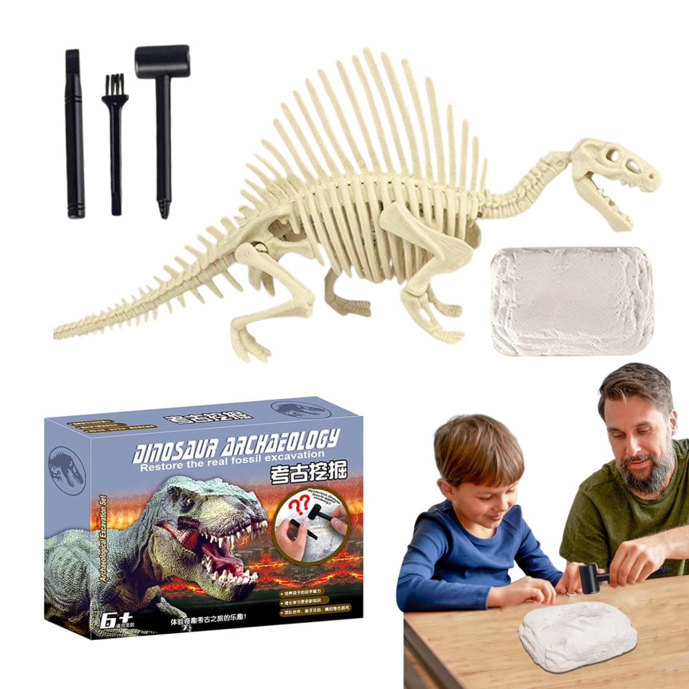 AOKAILA Fossil Digging Kit Dinosaur Skeleton Dig Kit for Boys and Girls ...