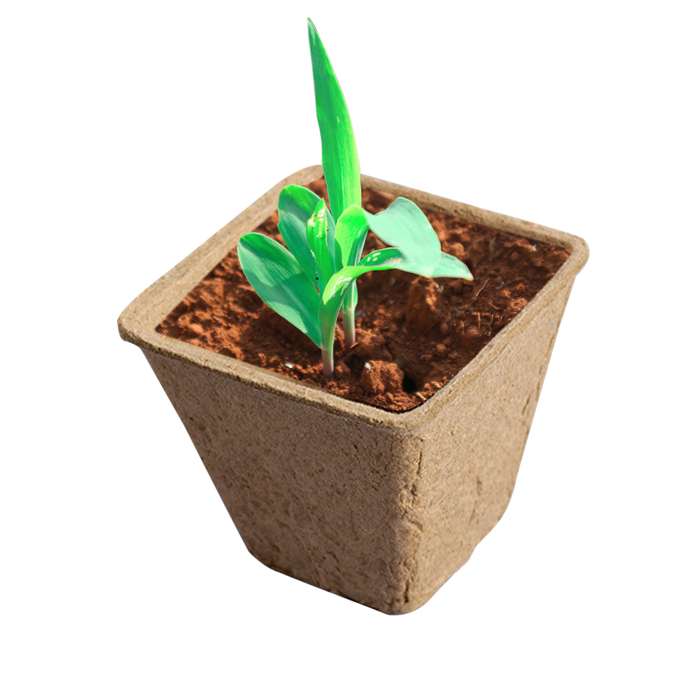 AOKAILA Organic Peat Pots Small Seedling Peat Pots Gardening ...