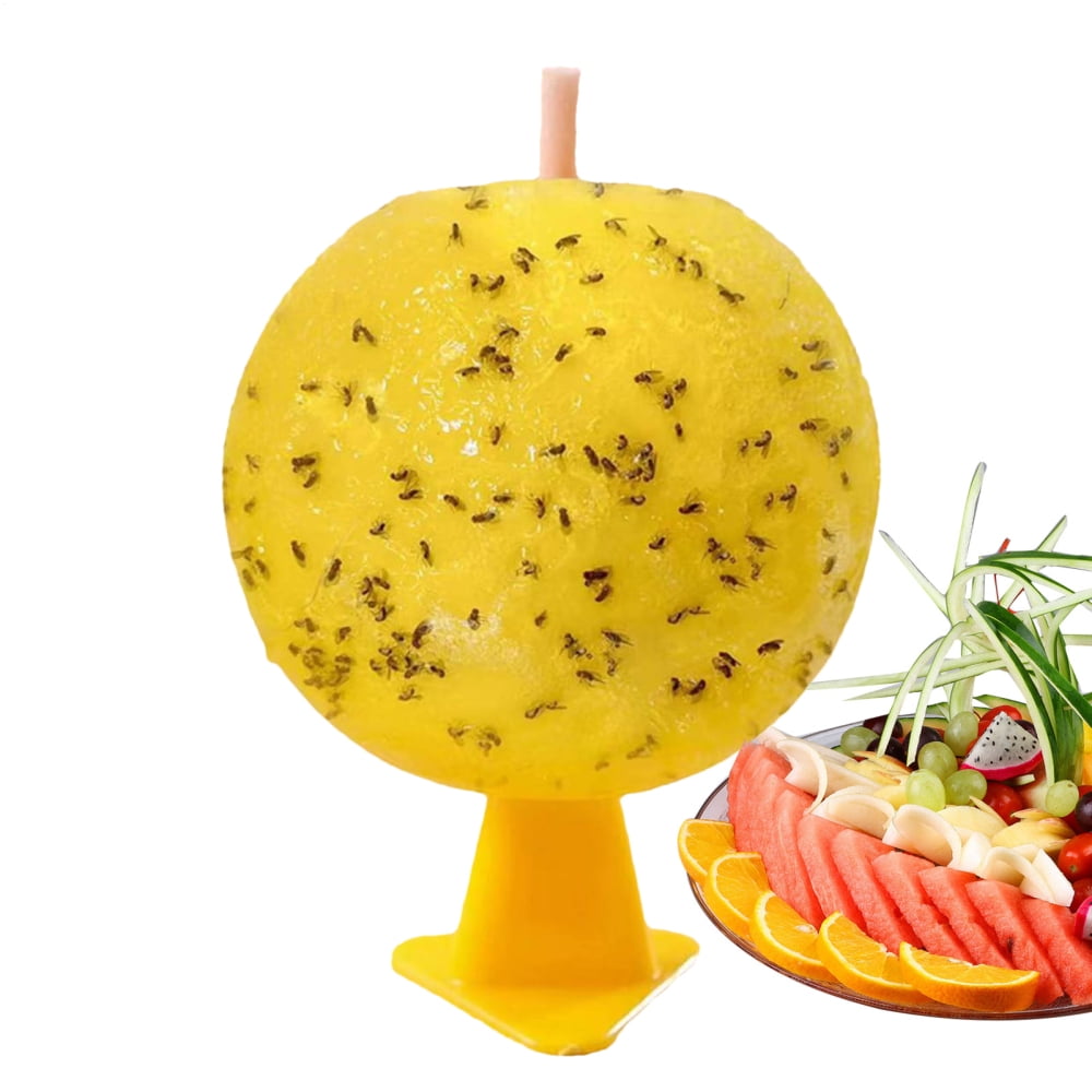 AOKAILA Sticky Fly Traps Plant Fly Sticky Trap Sticks Gnat Zapper ...