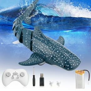 Remote Control Pool Toys