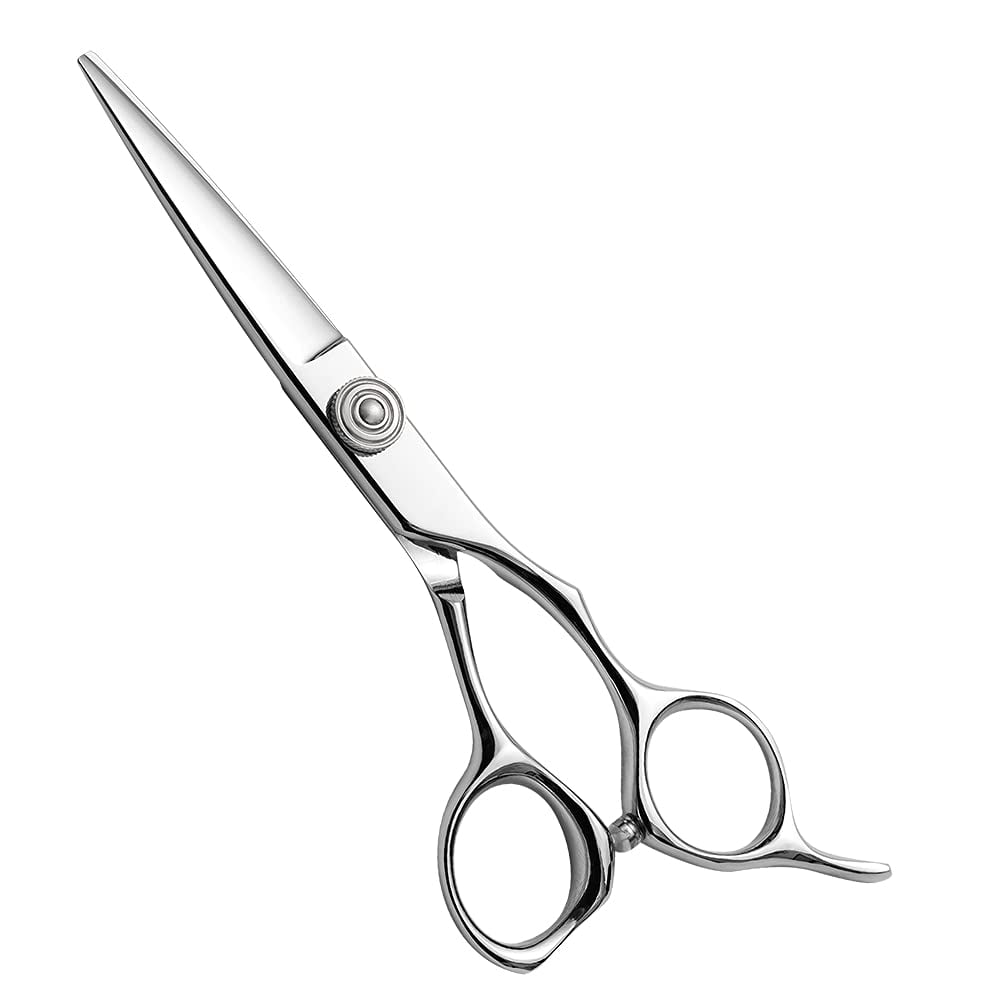 AOLANDUO 5.5 Inch Precision Cut Hair Scissor -High End AICHI Steel ...
