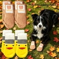 AOMRCOL 2026 New 8Pcs Dog Socks,Anti-Slip Pattern Cotton Warm Paw Socks ...