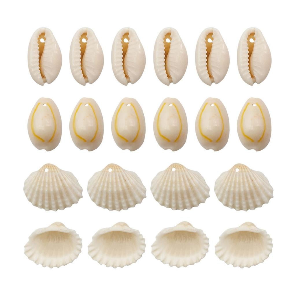 AOOOWER 1 Set Craft Shells Natural Shell Beads with Hole Beach Conch ...