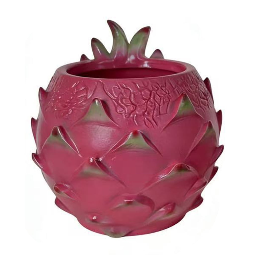 AOOOWER Cartoon Succulents Pots Pitaya Shape Succulents Planter ...