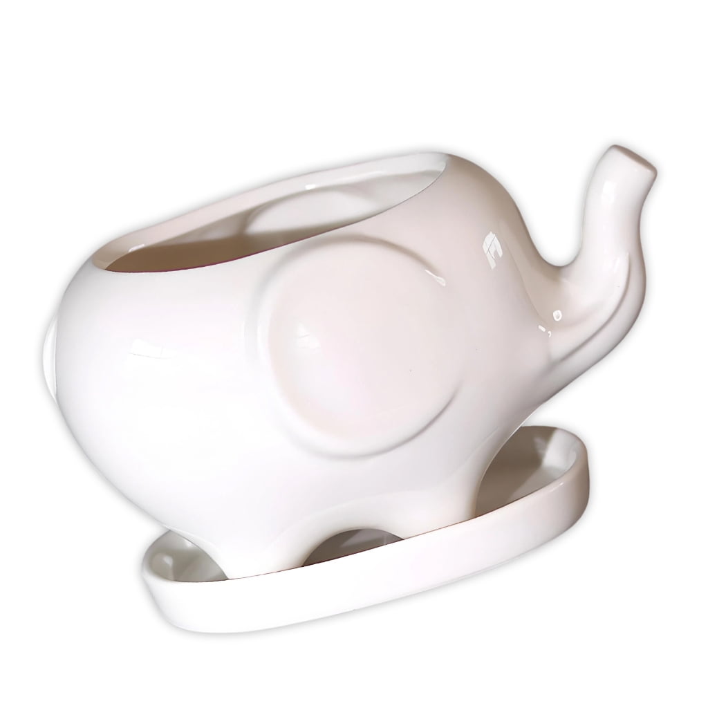 AOOOWER Contemporary Ceramic Pot With Drainage Hole For Enhancing ...