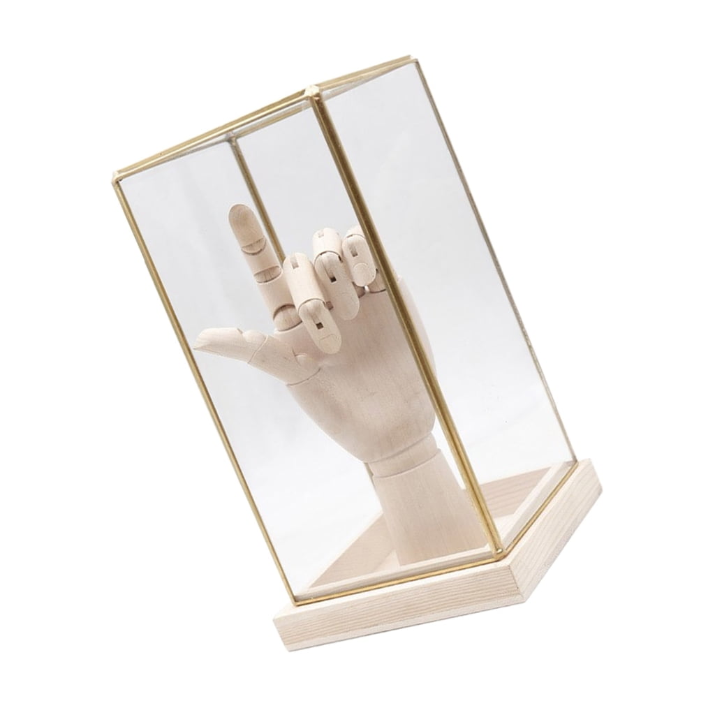 AOOOWER Elegant Display Case for Collectibles Assemble Clear Covers ...