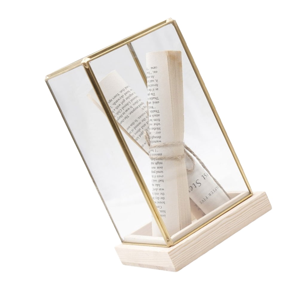 AOOOWER Elegant Display Case for Collectibles Assemble Clear Covers ...