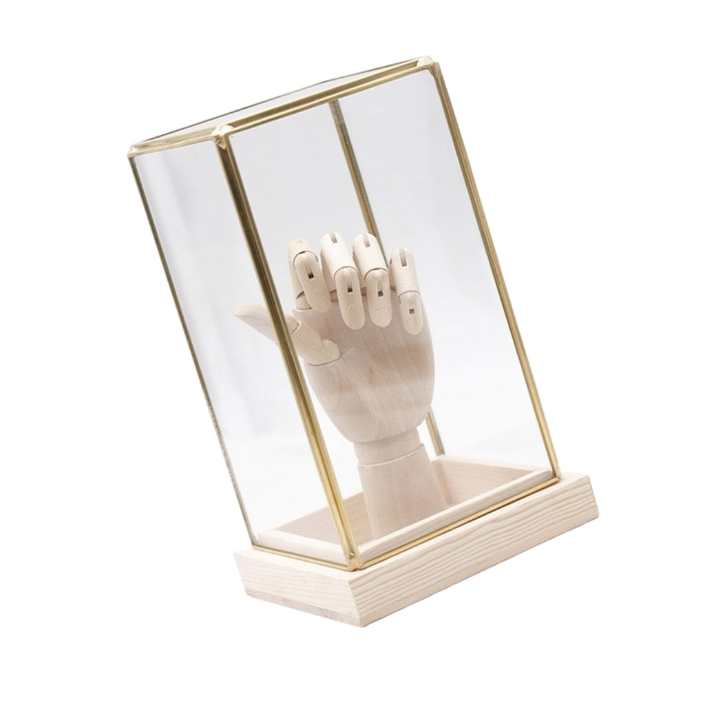 AOOOWER Elegant Display Case for Collectibles Assemble Clear Covers ...