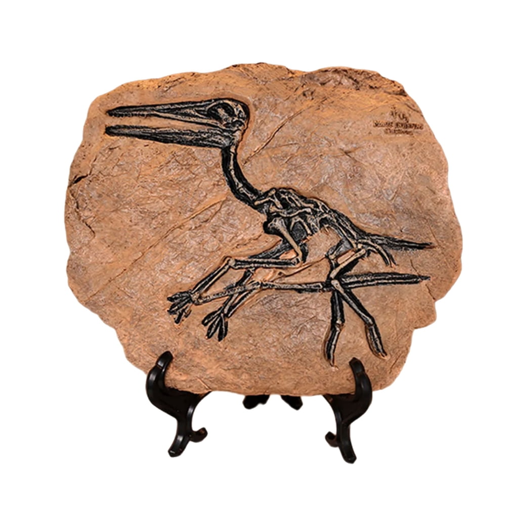 AOOOWER Resins Dinosaur Fossils Statue Model Simulated Skeleton Home ...