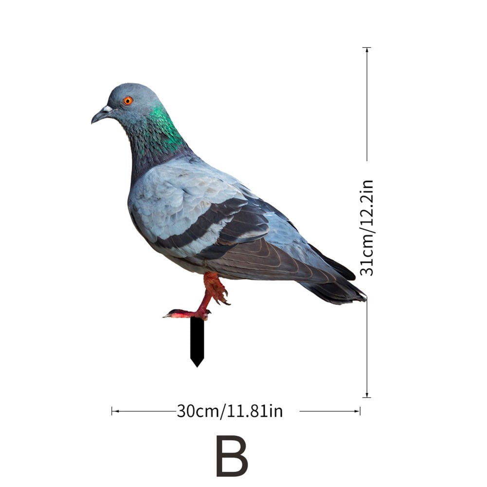 AOQIANLAN 2D Acrylic Garden Pigeon Statue Wild Pigeon Sculpture For ...