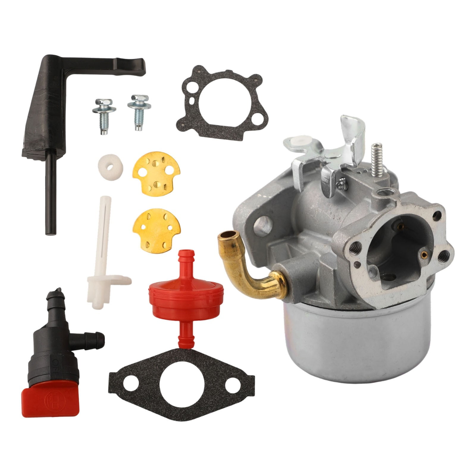 AOQIANLAN Easily Replace Your Old Carburetor with Model 798653 for BS ...