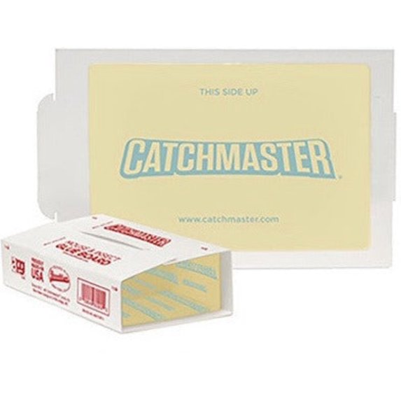 AP & G 60M Bulk Pack CatchMaster Pro Series Pre-Baited Mouse & Insect ...