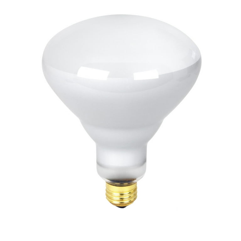 R40 Light Bulb Dimensions | Shelly Lighting