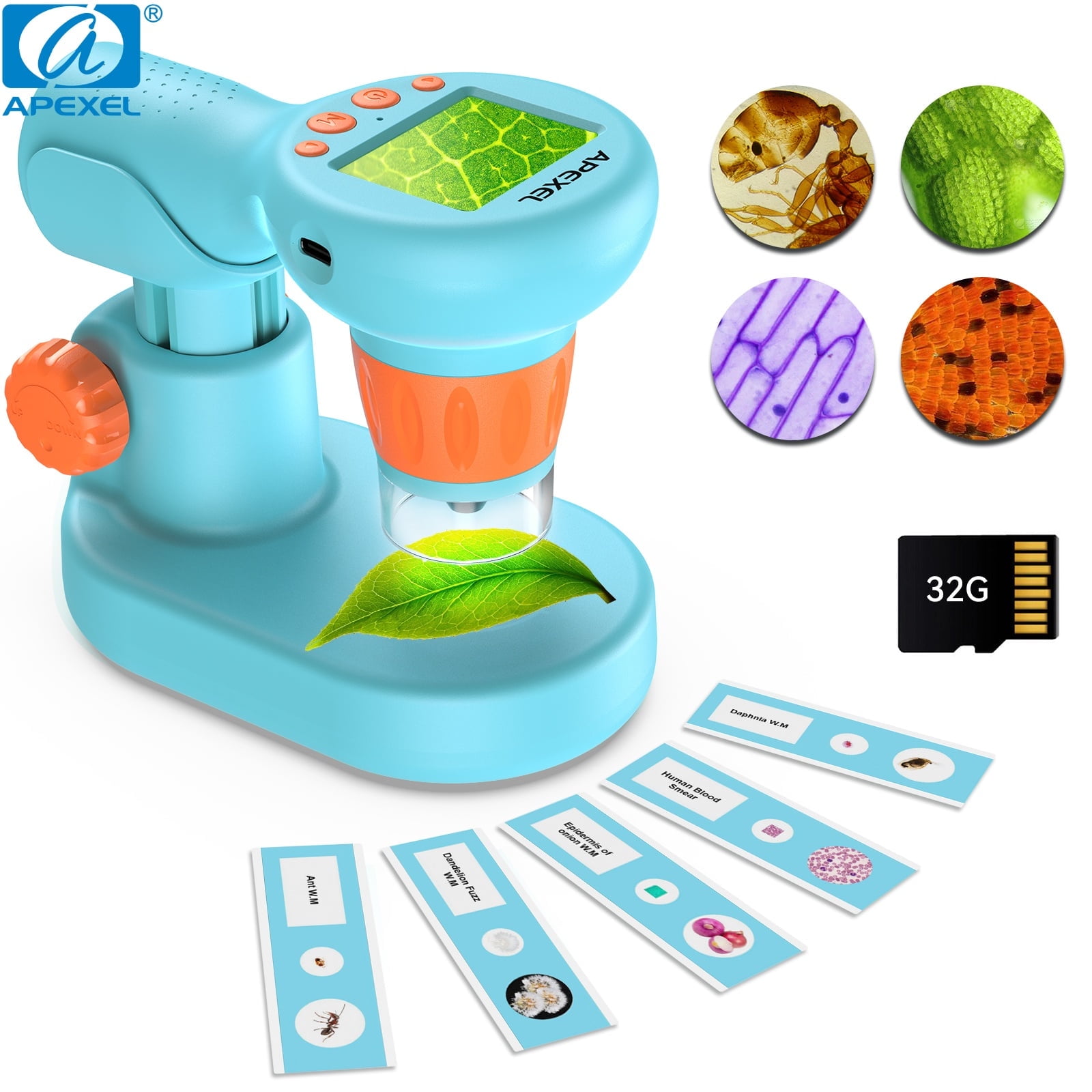 APEXEL 800X Children Digital Microscope With LCD Screen Zoom ...