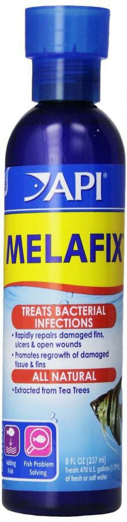 API MelaFix Antibacterial Fish Remedy 8 oz Bottle (Treats 474 Gallons) - Walmart.com