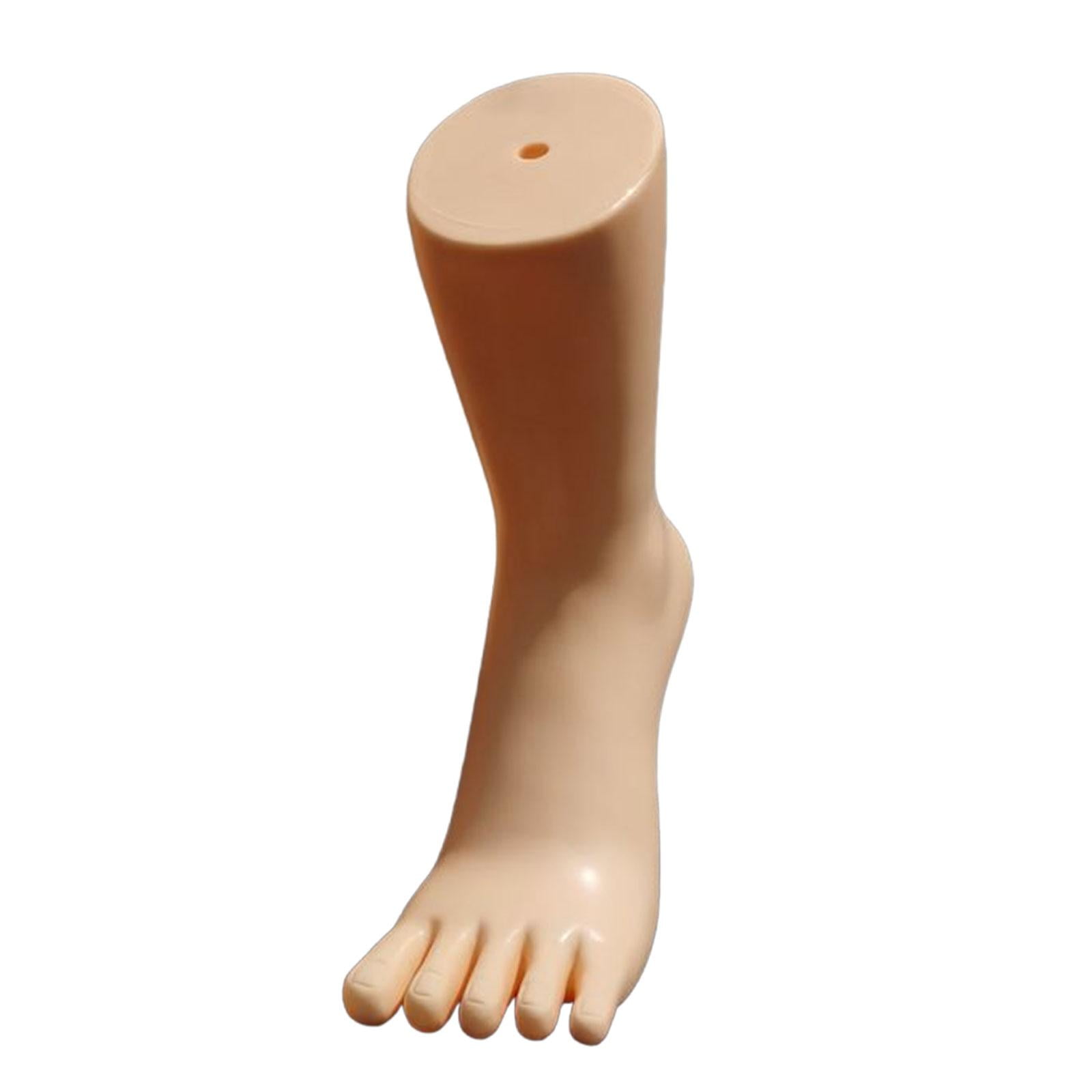 APLVFFZH Foot Model Display Fake Foot Model Simulation Foot Model Shoe ...
