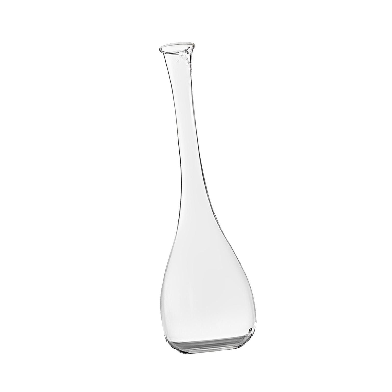 APLVFFZH Glass Flower Vase Plant Propagation Garden Fitments Stand ...