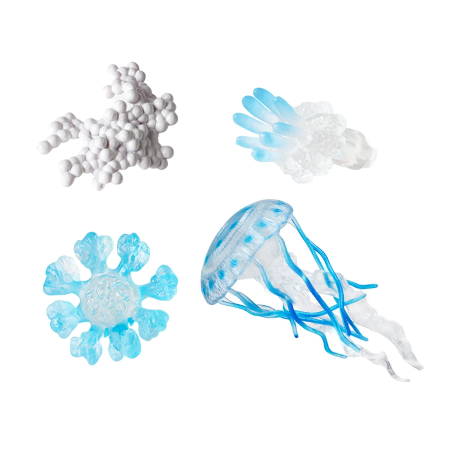 APLVFFZH Jellyfish Growth Cycle Animal Figurines Toy Cake Toppers for ...