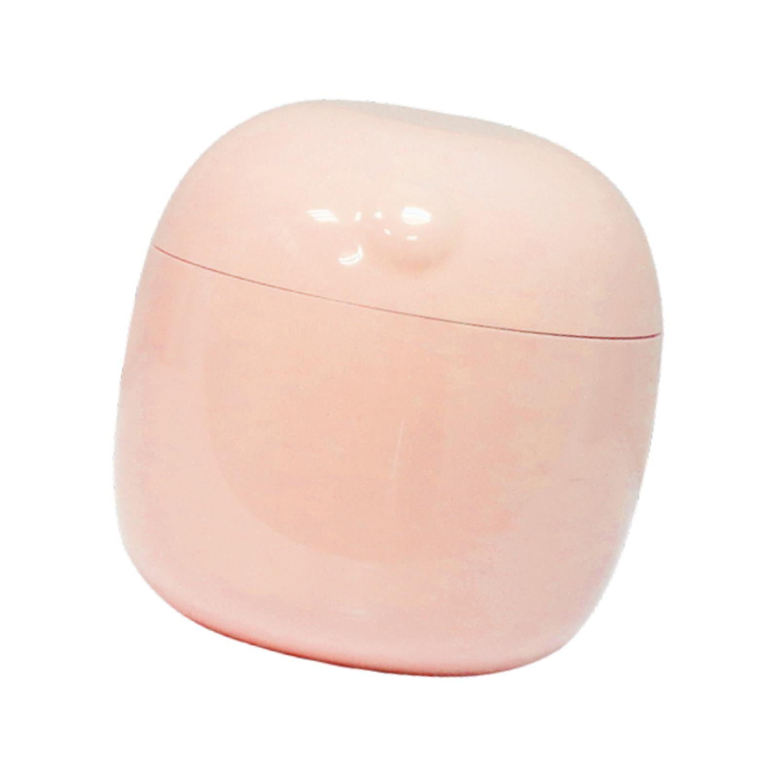 APLVFFZH Light Sanitizer Box Portable Pacifier Sterilizer for Pacifier ...