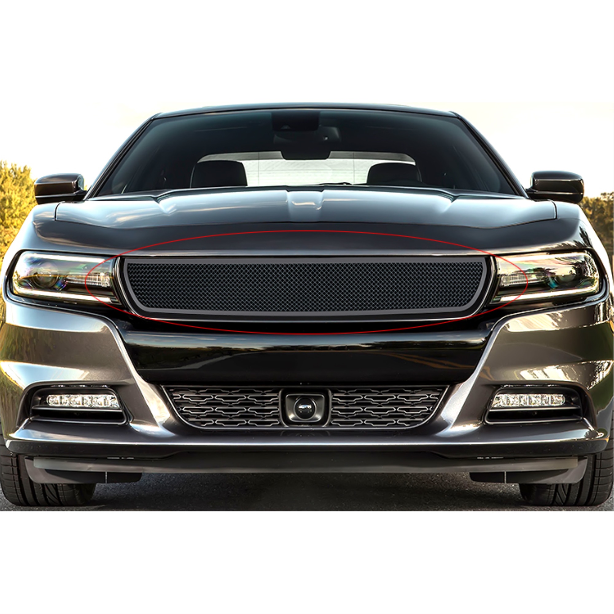 APS 2015-2018 Dodge Charger (Not for Daytona and RT SCAT Pack and SRT ...