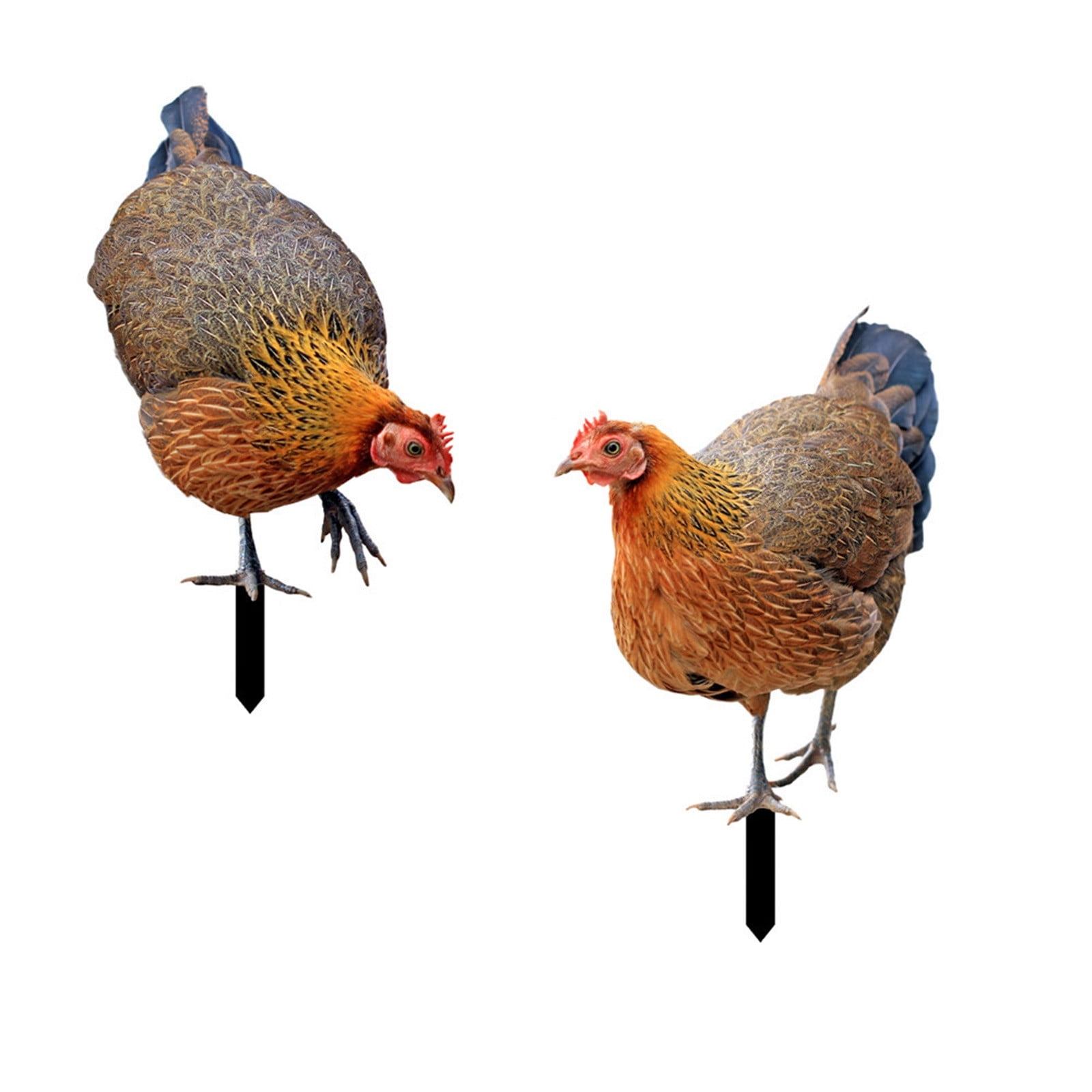 APSNB Realistic Chicken Statues,Acrylic Rooster Animals Stakes,Animals ...