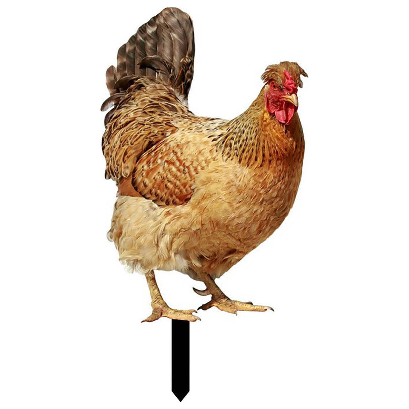 APSNB Realistic Chicken Statues,Acrylic Rooster Animals Stakes,Animals Sculptures Decor,Chicken ...