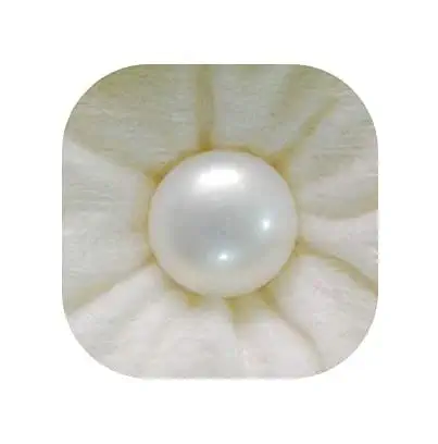 APSSTONE South sea Pearl Stone 10.25 Carat with Lab Certified Card ...