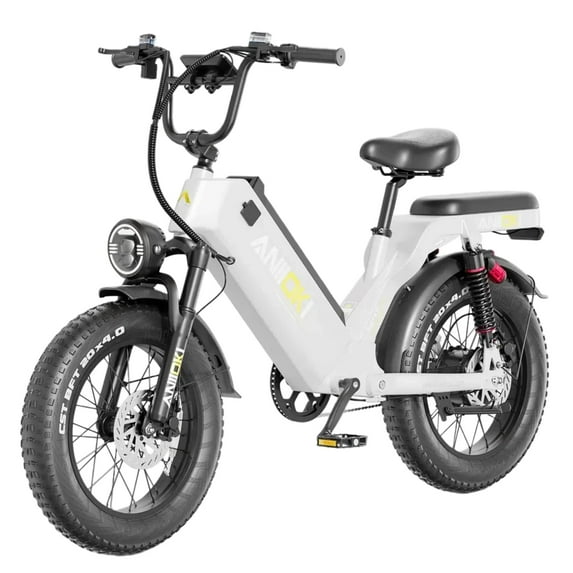 AQ177 Pro Max 48V Electric Bike,60Ah Battery,1000W Peak Motor,100 N·m Torque,Up to 200-Mile PAS ...