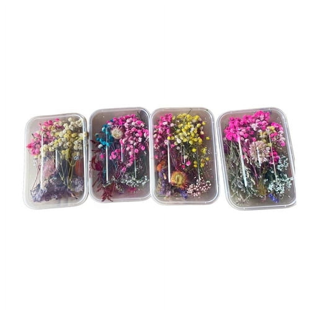 AQFZ Dried Flowers Kit Real Natural Flowers Bulk Dried Flower DIY ...