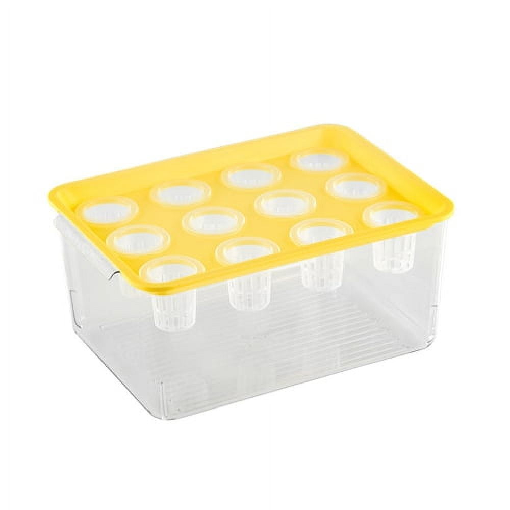 AQFZ Transparent Hydroponic Planter Box with 12 Holes Lid Handle ...