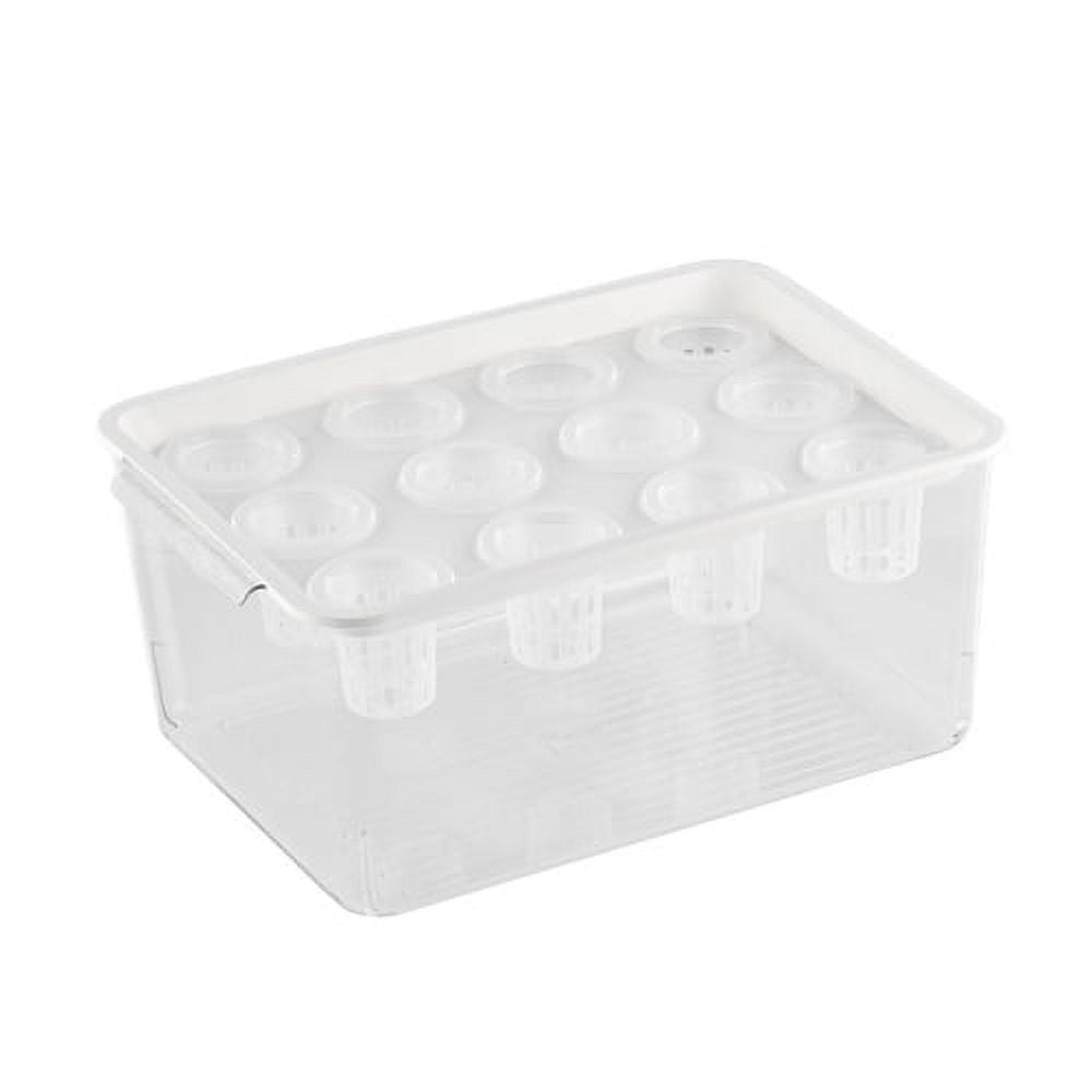 AQFZ Transparent Hydroponic Planter Box with 12 Holes Lid Handle ...