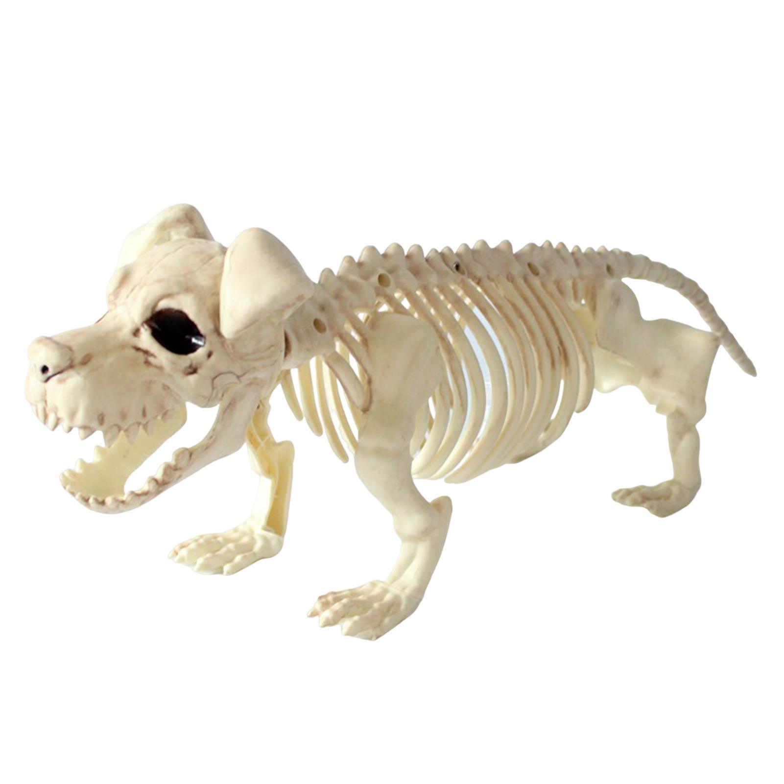 AQJW Halloween Decoration Mini Skeleton Bone Statues Poseable Rat Dog ...