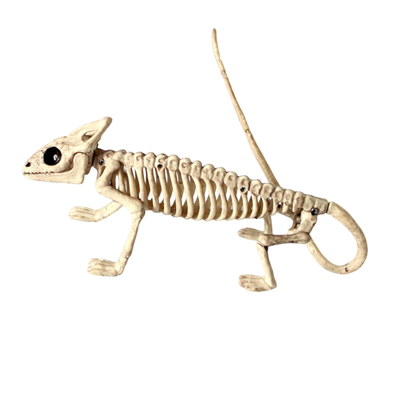 AQJW Halloween Decoration Mini Skeleton Bone Statues Poseable Rat Dog ...