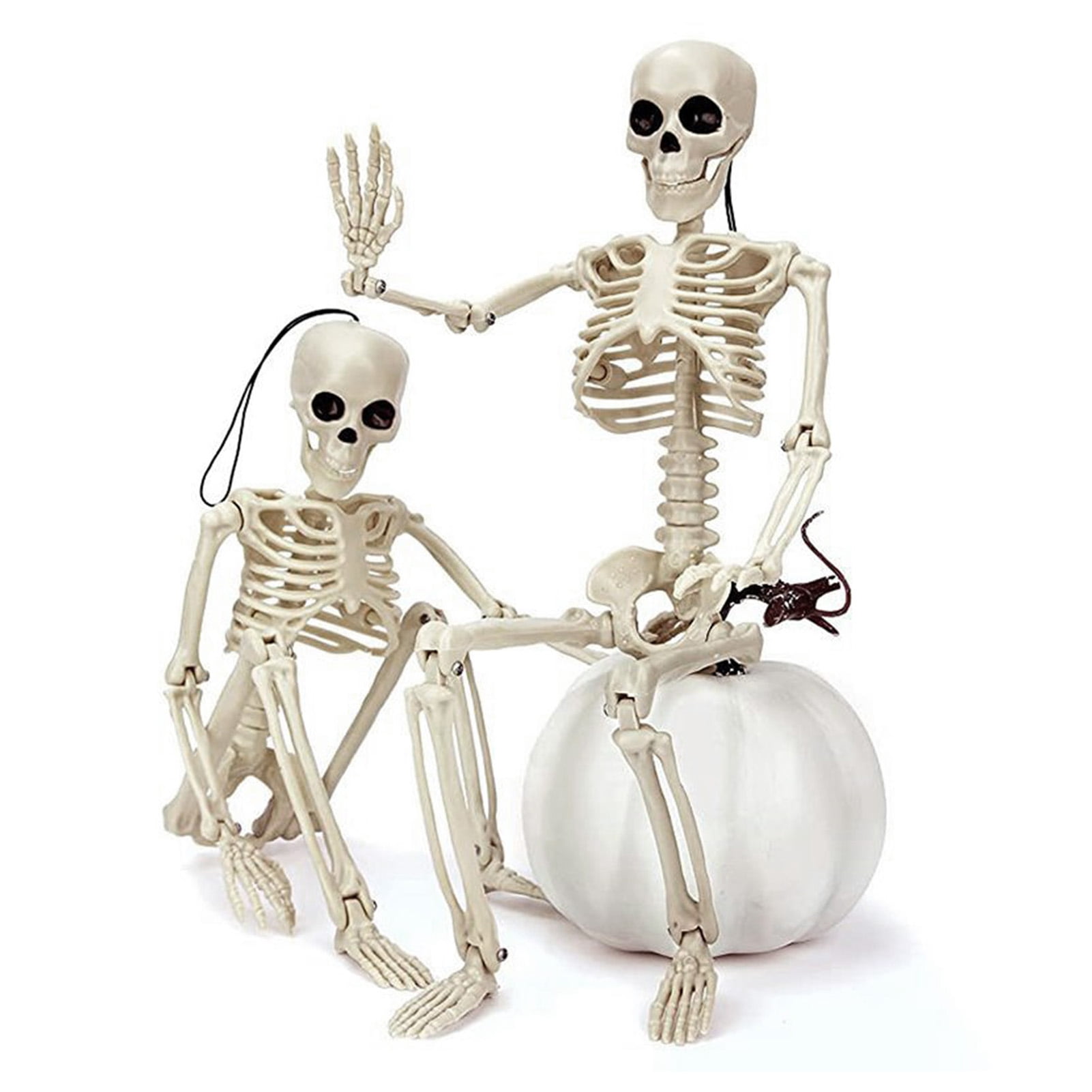 AQJW Halloween Skeleton Full Body Posable Joints Ornament Realistic ...