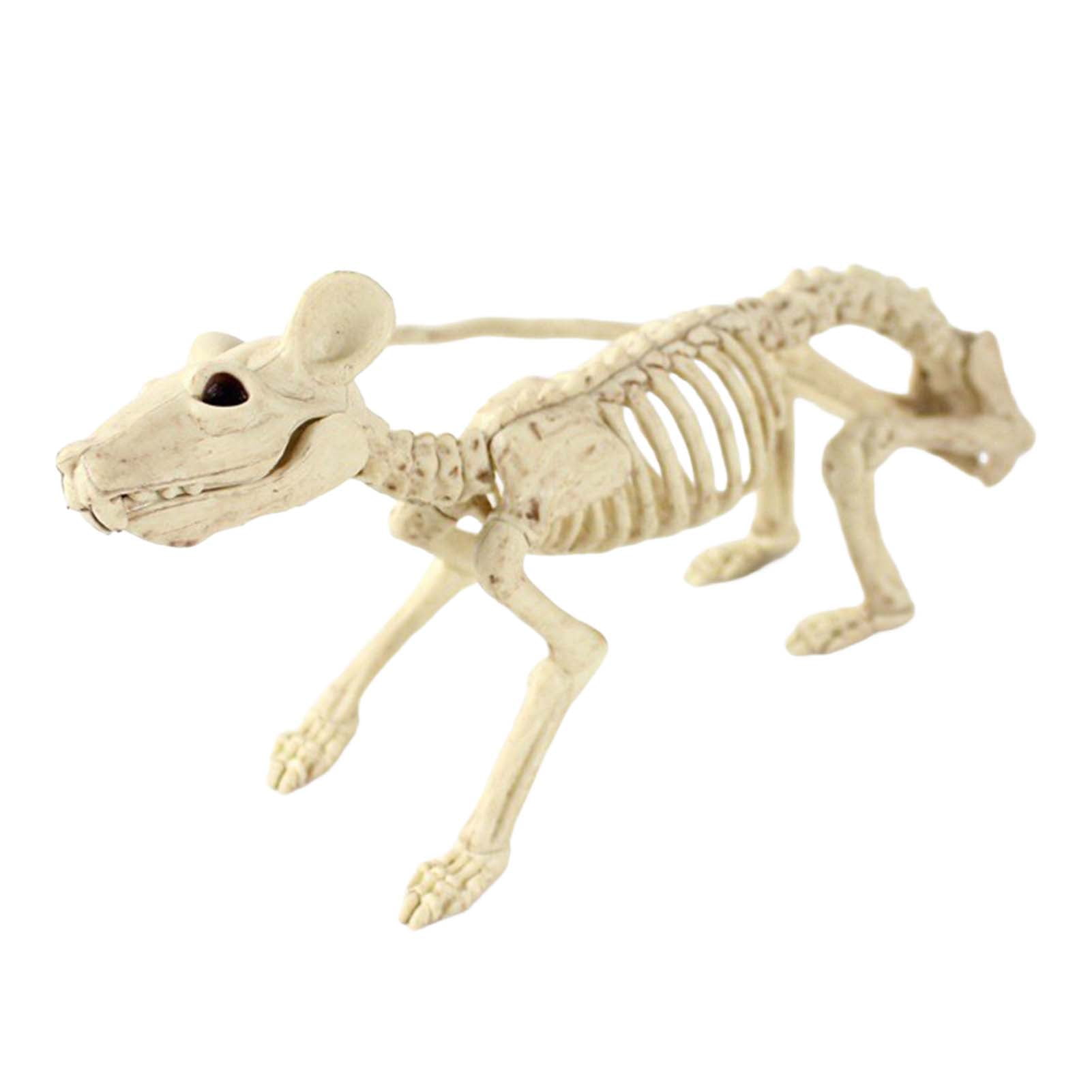 AQJW Halloween Skeleton Rat Prop Plastic Skeleton Long Tailed Rat ...