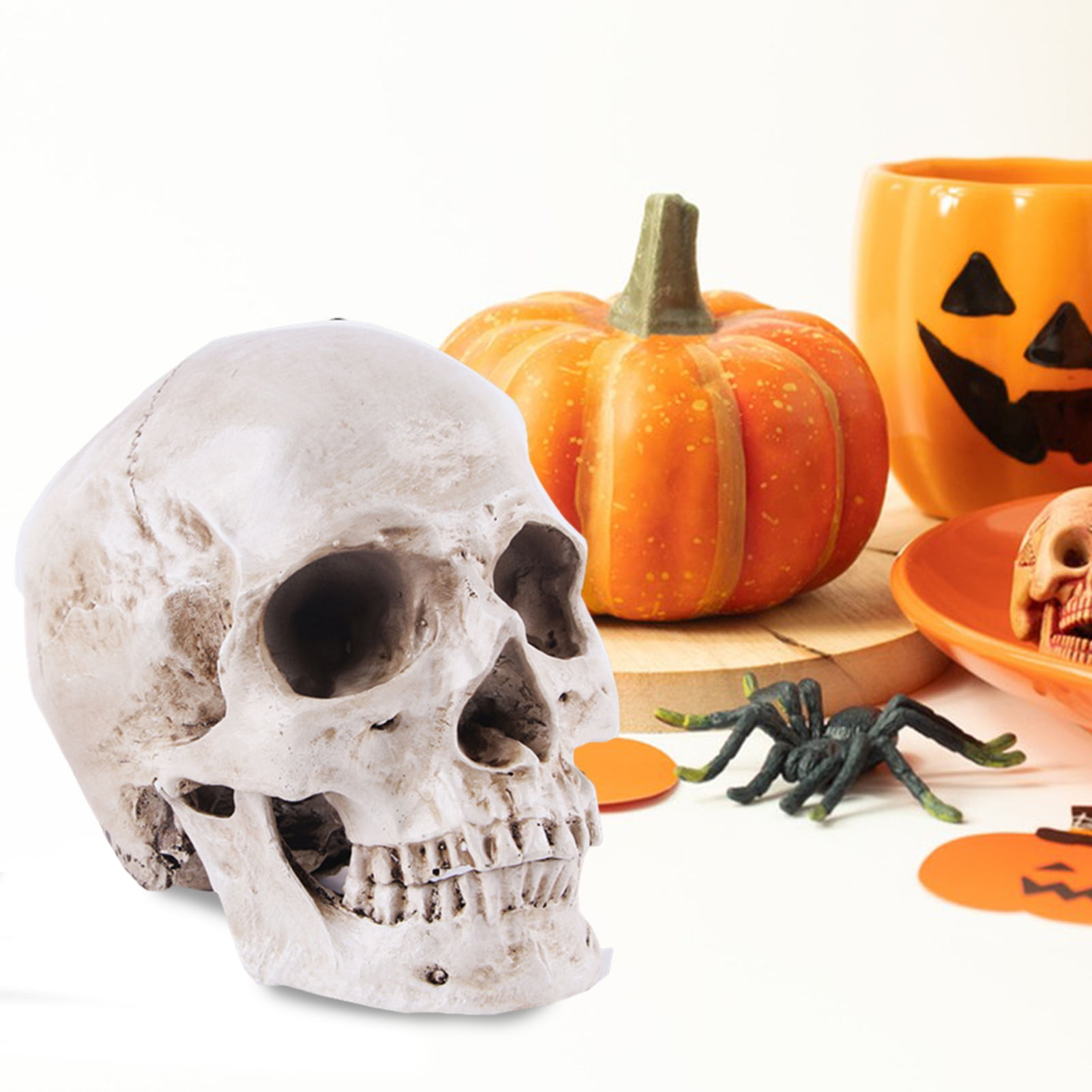 AQJW Skull Model Realistic Removable Jawbone Educational Human Skull ...