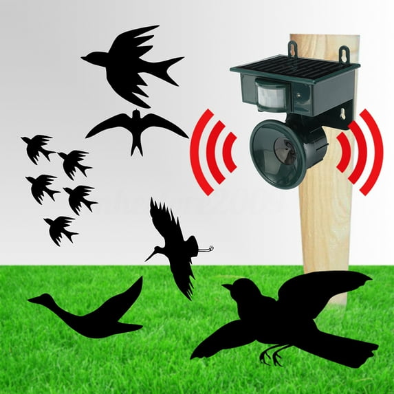 AQQW Solar Powered Outdoor Ultrasonic Pest Bird Crow Animal Repeller ...