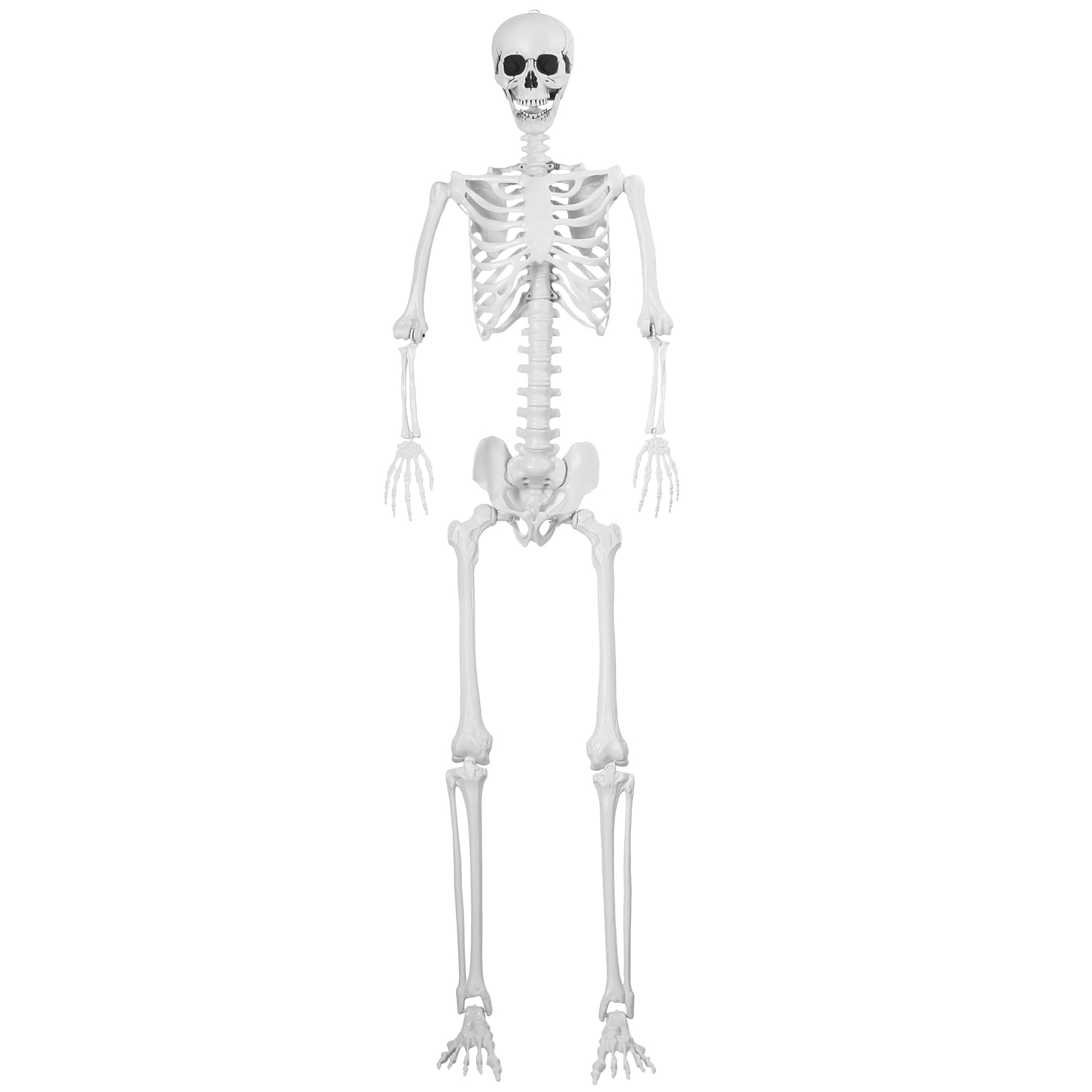 AQSQ 7.8ft Halloween Skeleton with Movable Joints, Realistic Bones Prop ...
